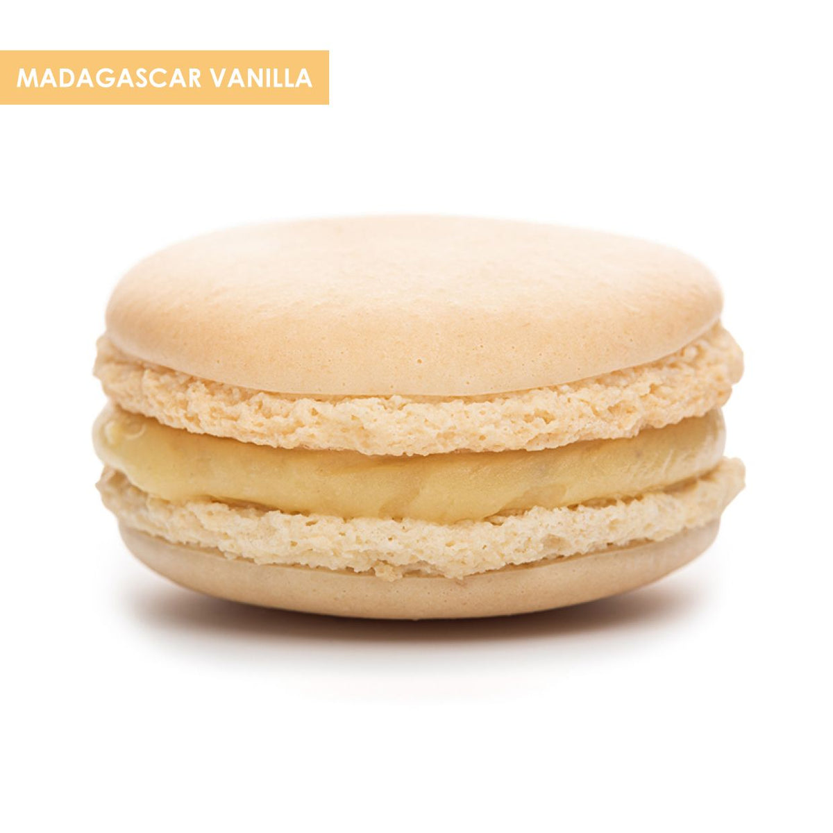 Macaron - Madagascar Vanilla – Atelier Verbaert